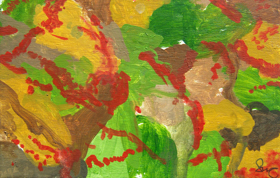 Frazers House Brain Tumour Foundation